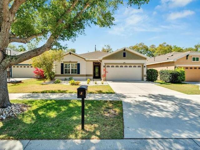 15856 Starling Water Dr, Lithia, FL 33547