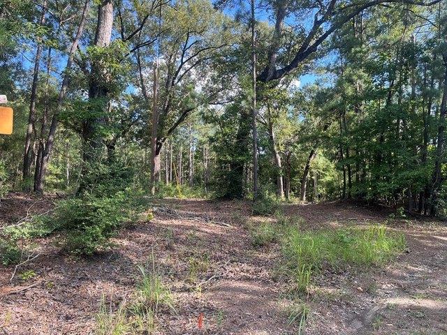 15866 Red Oak Dr, Brookeland, TX 75931
