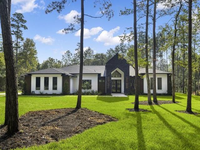15868 Wooded Trail Way, Willis, TX 77378