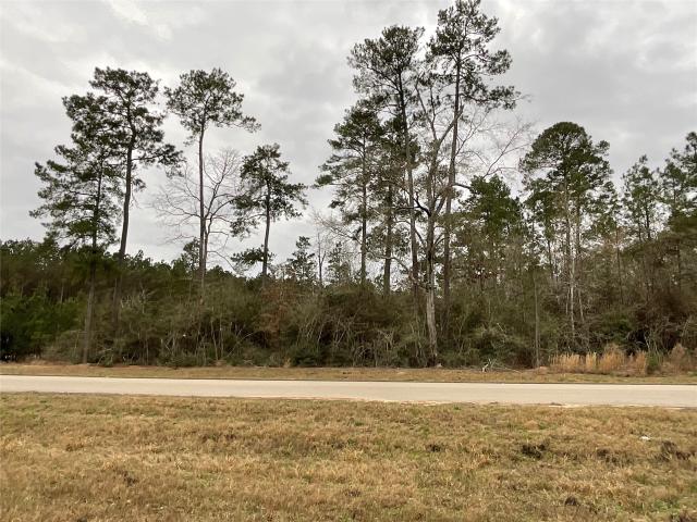 15877 Four Hls Rd, Willis, TX 77378 | MLS #67581