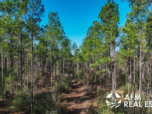 15876 Farm Market Rd # 227, Weches, TX 75844