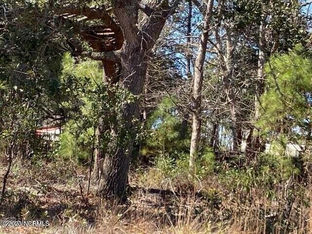 1587 Snapper /2 of 180 St SW Lots 179 & 1, Shallotte, NC 28470