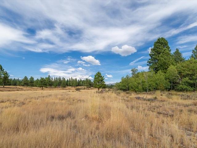 15880 Wellington Way, Truckee, CA 96161