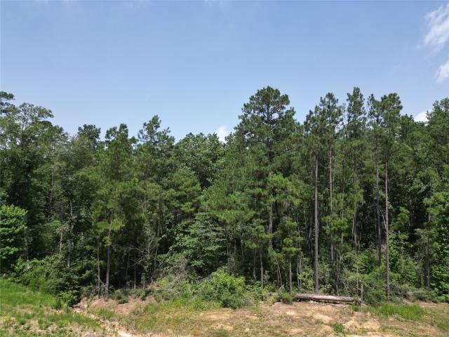 15884 Ridge Oak Road