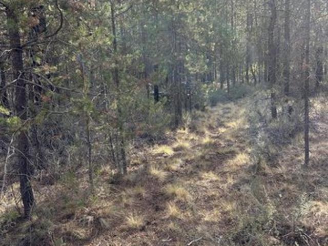 15885 Leslie Dr, La Pine, OR 97739