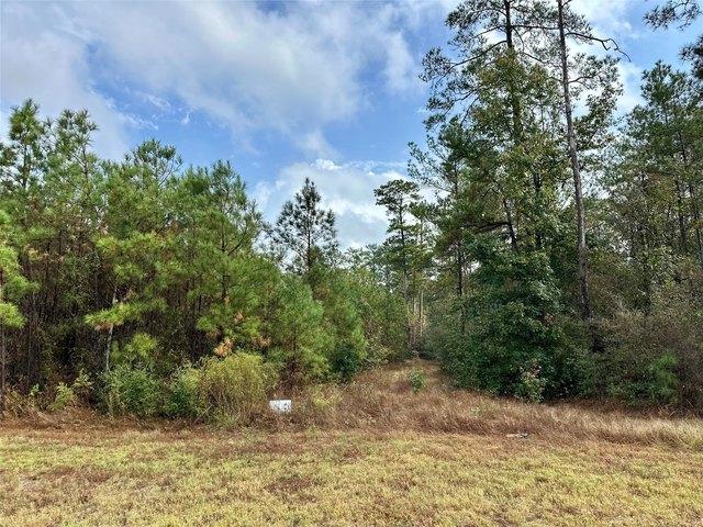 15886 Wood Grove Way, Willis, TX 77378