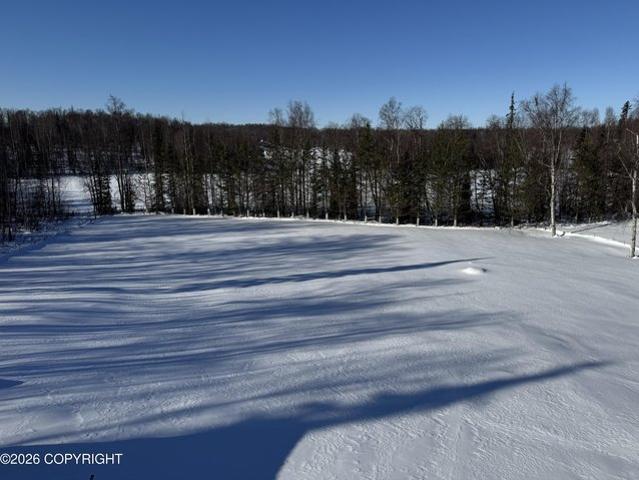 15800 E Shangrila Dr, Talkeetna, AK 99676