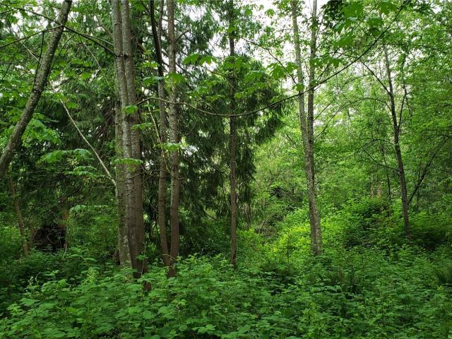 1580 nd Ave NW, Gig Harbor, WA 98332 | MLS #2169 | Compass