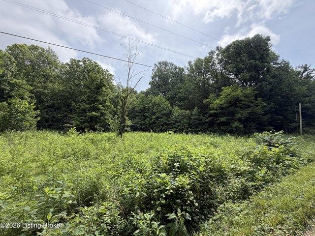 1580 Cedar Grove Rd, Coxs Creek, KY 40013
