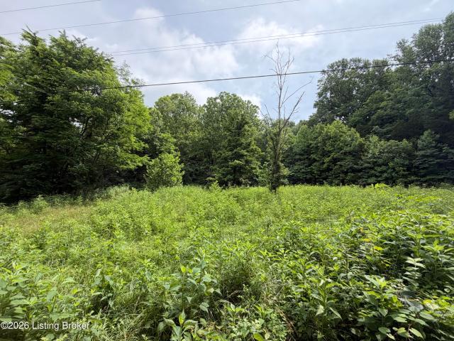 1580 Cedar Grove Rd