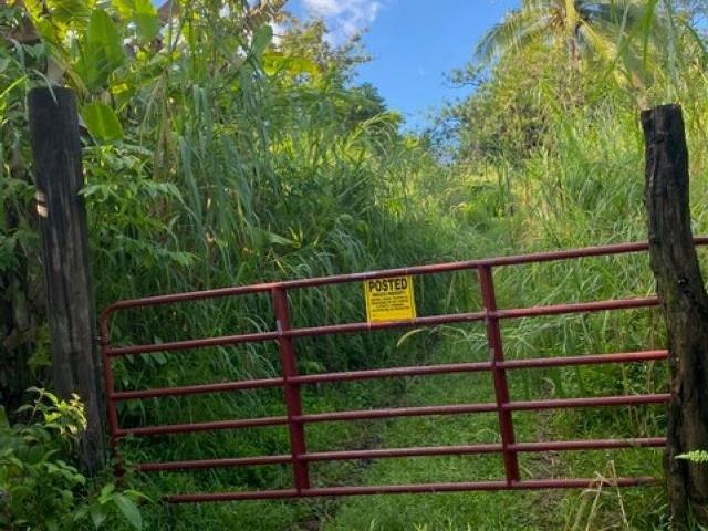 1580 Lower Nahiku Rd, Hana, HI 96713 | MLS #403441