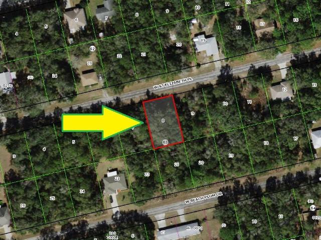 1580 W St Elizabeth Pl, Citrus Springs, FL 34434 | MLS #1056 | Compass