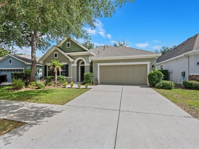 15814 Starling Water Dr, Lithia, FL 33547