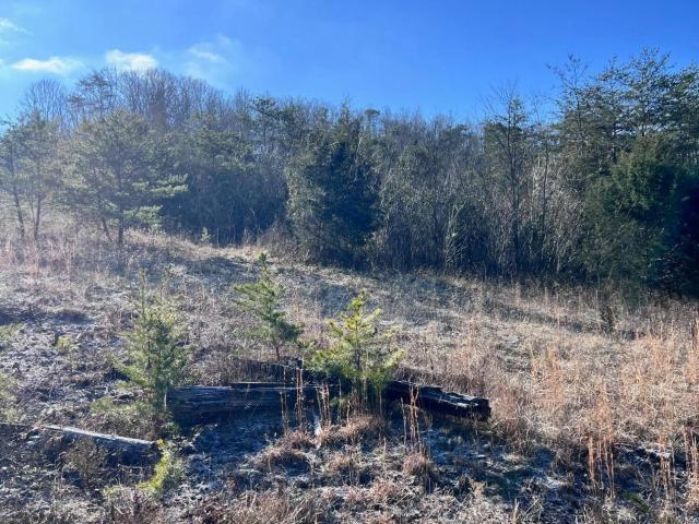 1581 Lower Caney Valley Rd