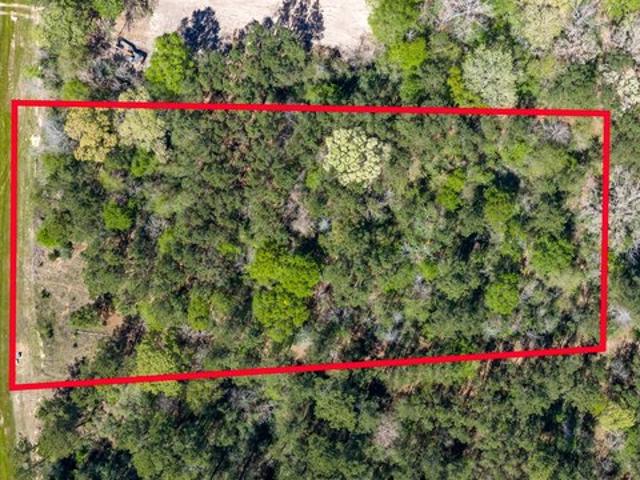 15824 Wood Grove Way, Willis, TX 77378