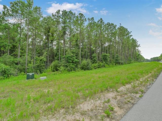 15832 Ridge Oak Rd, Willis, TX 77378
