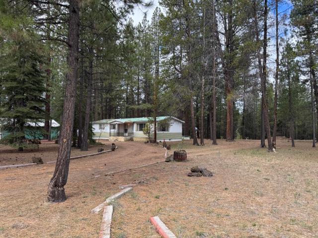15834 Jackpine Road