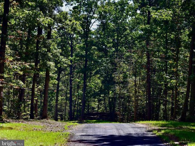 158.5 Acres Lot 3 Laurel Grove Rd