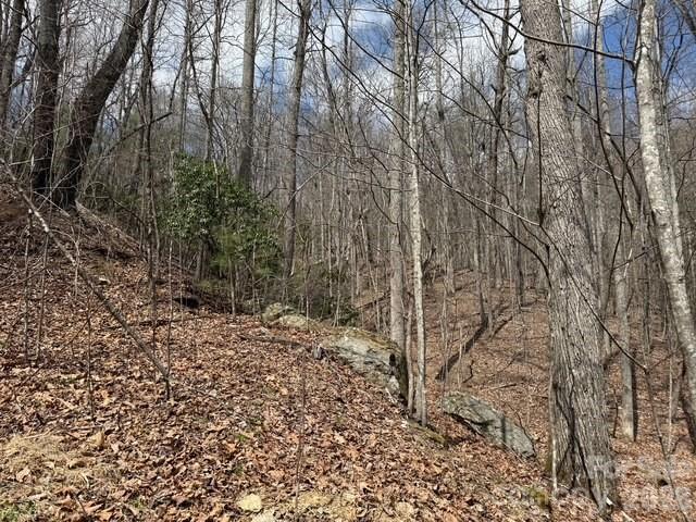 158 Chattooga Run # 402