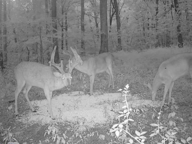 158 Acres Johnson Cemetery Road