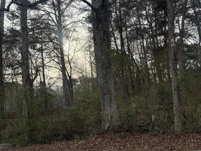 158 Alexander Rd, McDonough, GA 30253 | Compass