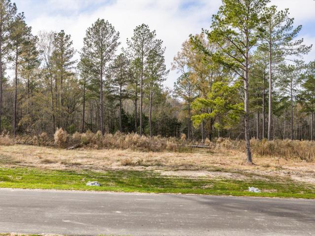 158 Beagle Chase Dr, Appling, GA 30802 | MLS #98254