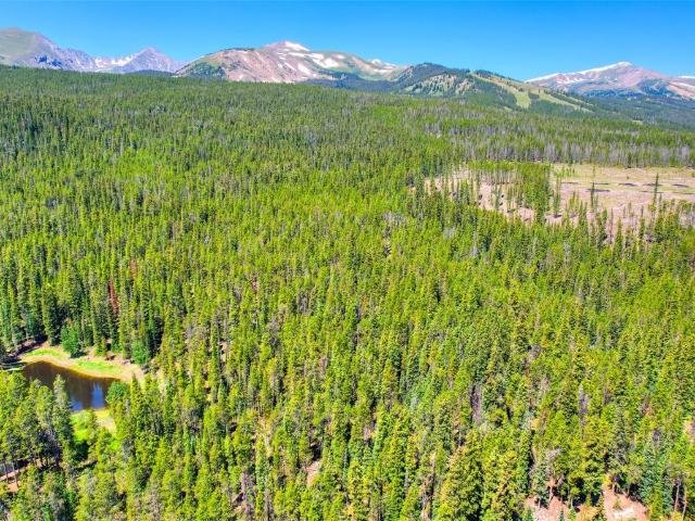 158 Bryce Estates Rd, Breckenridge, CO 80424 | MLS #S1051