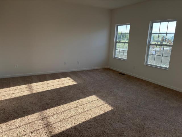 158 Dusky Willow Drive