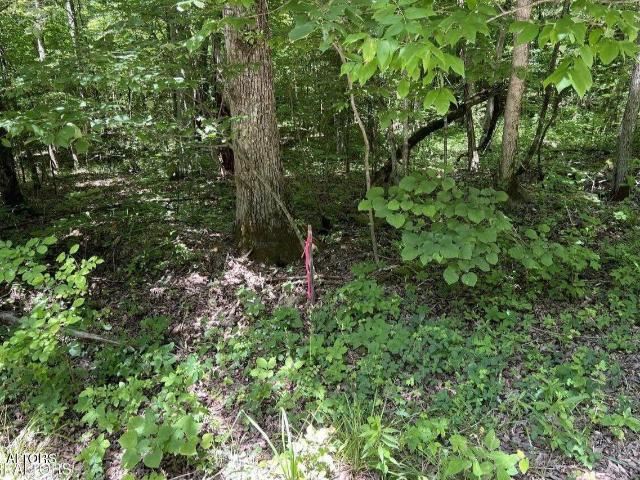 158 Eagle Ridge Rd
