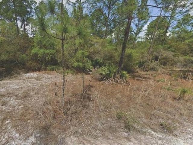 158 Ferncreek Dr, Georgetown, FL 32139