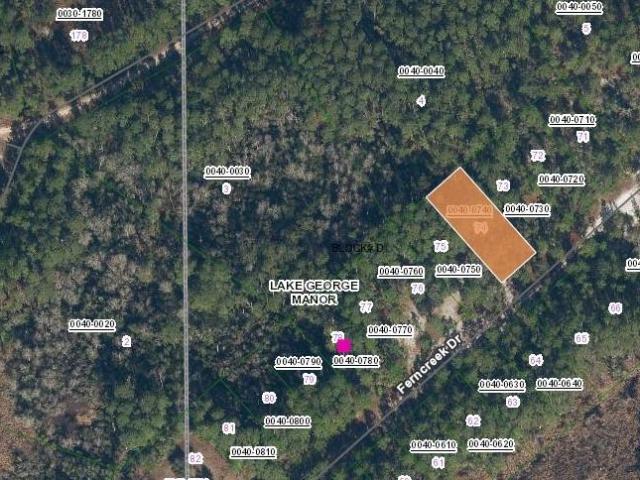 158 Ferncreek Dr, Georgetown, FL 32139 | MLS #OM715761