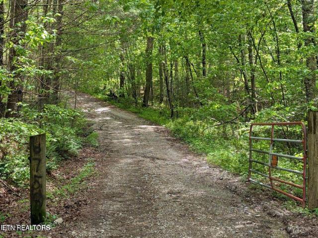 158 Jess Ridge Rd