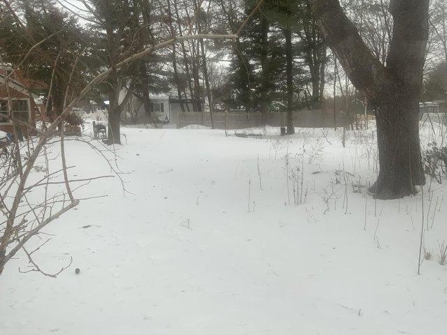 158 Lambert St, Portland, ME 04103