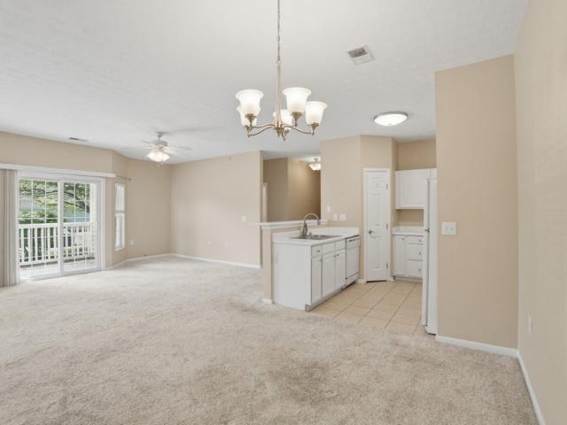 158 Saddlebrook Lane # 319