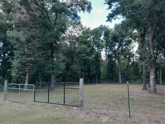 15951 NE 1st St, Williston, FL 32696 MLS OM679392