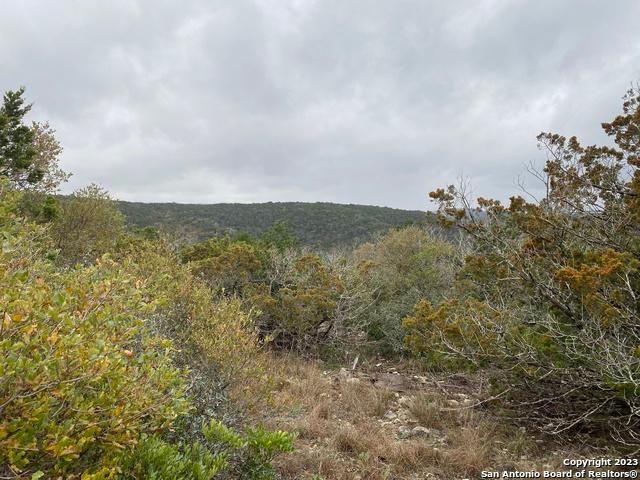 1595 Rim Rock Rd