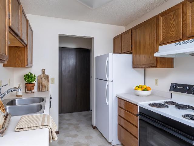 1596 Millpond Court 2 Bedroom Apartment for Rent at 1596 Millpond Ct, Chaska, MN 55318