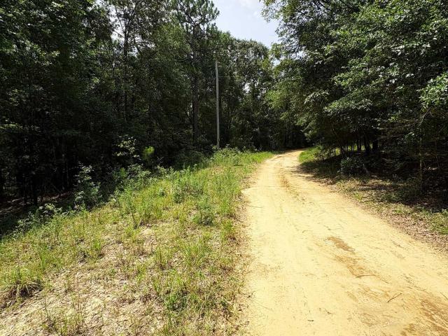15976 Cochran Road
