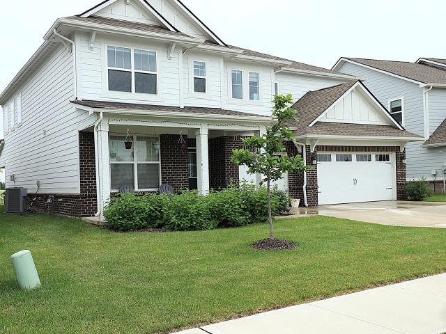 15907 Black Willow