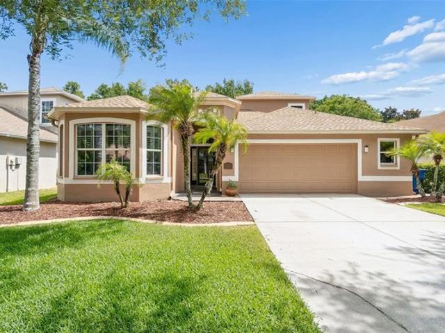 15907 Pond Rush Ct, Land O Lakes, FL 34638