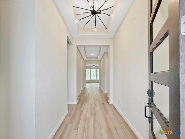 1590 Lone Grapevine