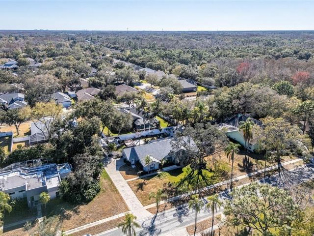 15912 armistead lane, odessa, us, fl