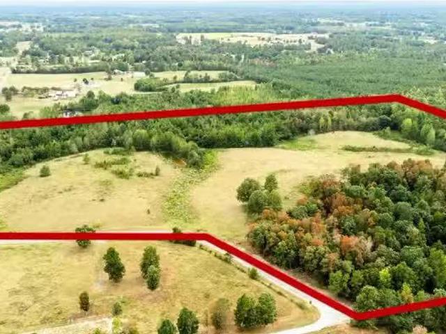 1591 COUNTY ROAD 296, HILLSBORO, AL 35643 Vacant Land For Sale.