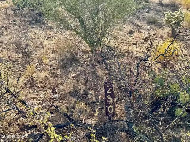 15932 Bolo Pl #250, Tucson, AZ 85736 MLS 22415546