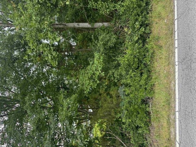 1593 Old Anderson Mill Rd, Moore, SC 29369