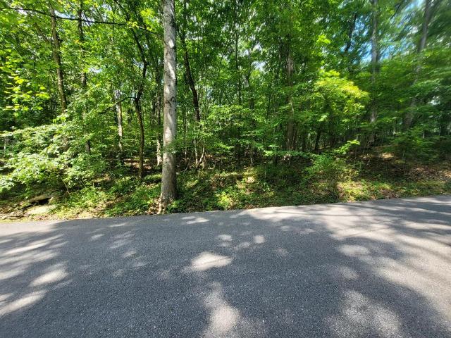 159 161 sugarbush cir