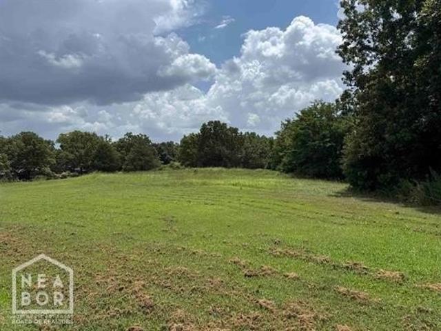 159 Alma Dr, Highland, AR 72542