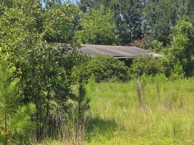 159 Grimsley Rd, Colquitt, GA 39837