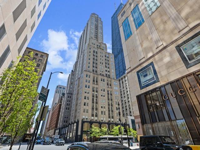 159 E Walton Pl Apt 12D, Chicago, IL 60611
