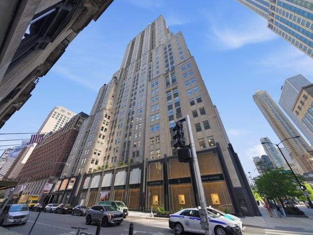159 E Walton Pl Apt 22A, Chicago, IL 60611